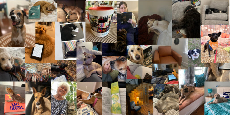 Reading Mascots get turn in the spotlight during Book Club Madness ...